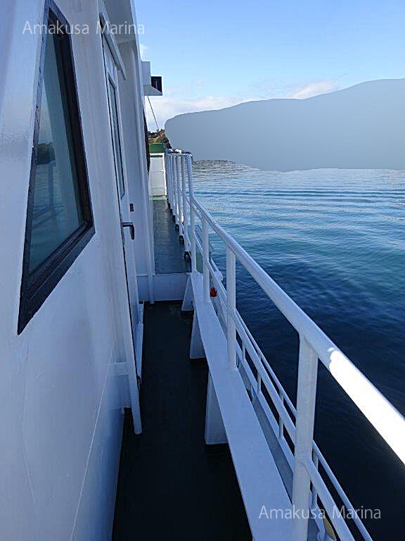 Suzuki Shipyard 82ton 98ft 75persons | AMAKUSA MARINA Co.